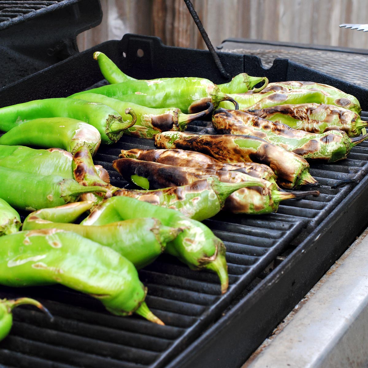 Green Chile Roasting Denver at Donna Champion blog