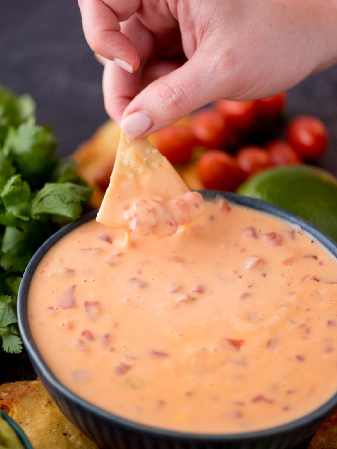 Velveeta Rotel Dip - Sweetly Splendid
